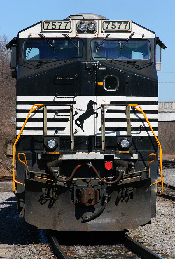 NS 7577
